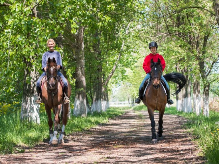 I Cavalli di Tenuta la Baronessa | Cavalli e Benessere psicofisico ...